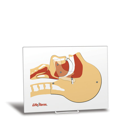 HSI Emergency Care United States